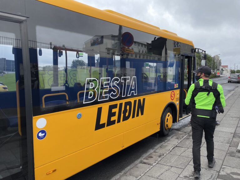 Reykjavik City Guide - Everything You Need to Know About Iceland's ...
