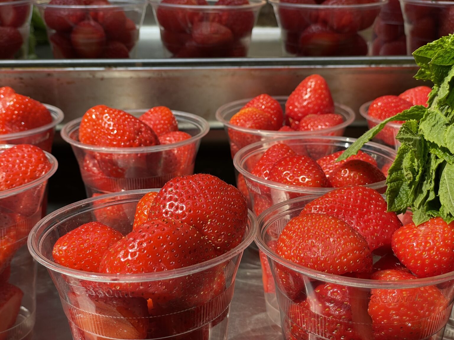 Borough Market Visitor Guide