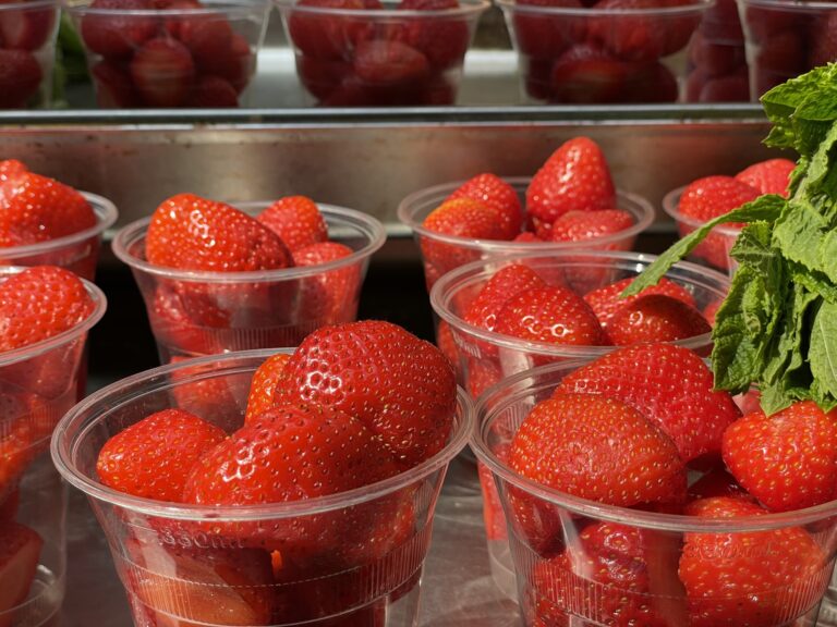 Borough Market Visitor Guide