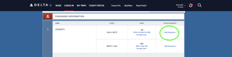 Flying Delta With a Baby