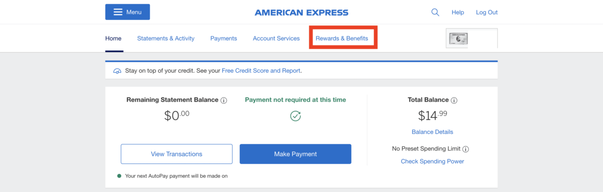 How I Used My Amex Platinum Saks Credit [2023]