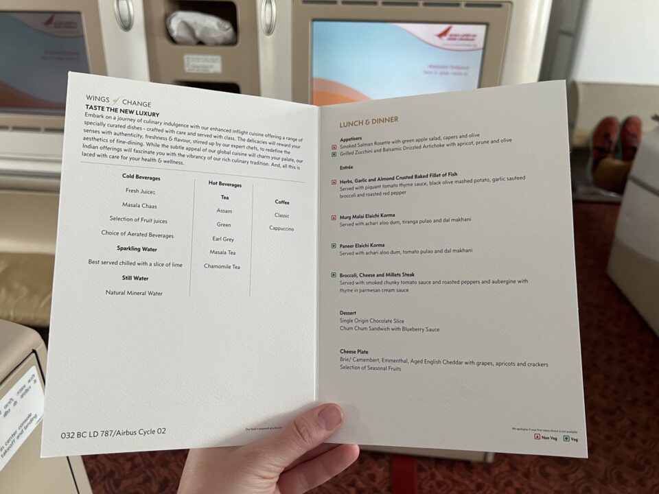 Air India Business Class Review — 787 from DXB to DEL