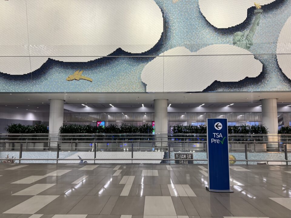 Beginner's Guide to CLEAR Plus (Is it worth it?)